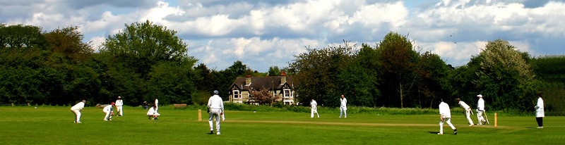 Top 5 Ultimate Corporate Cricket Organizer in Delhi